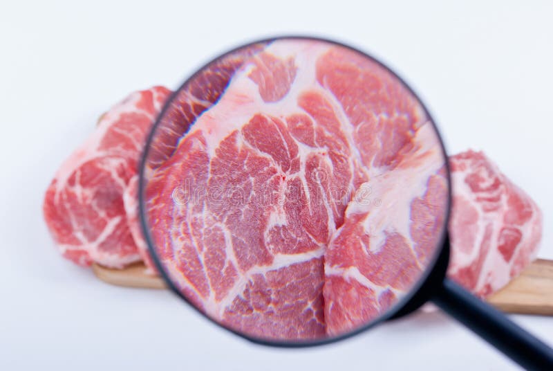 Tierarzt An Der Fleischbeschau Im Schlachthaus Stockbild - Bild von ...