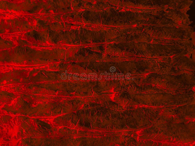 Flesh Stock Illustrations – 49,489 Flesh Stock Illustrations, Vectors ...