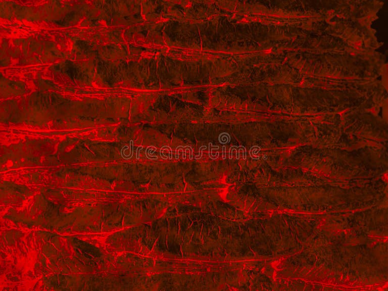 Human Flesh Stock Illustrations – 1,995 Human Flesh Stock Illustrations ...