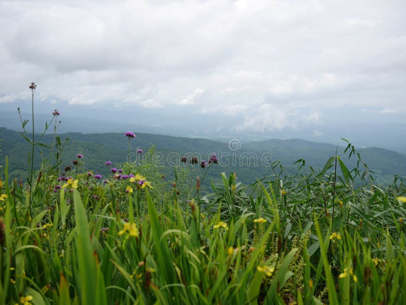 Flesh Air up high stock image. Image of mountain, flesh - 97445473