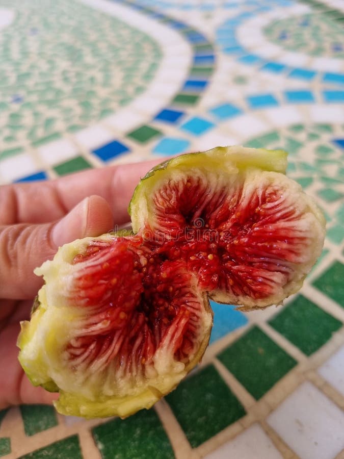 Flesh or ripe fig fruit stock photo. Image of frui, ripe - 357729538