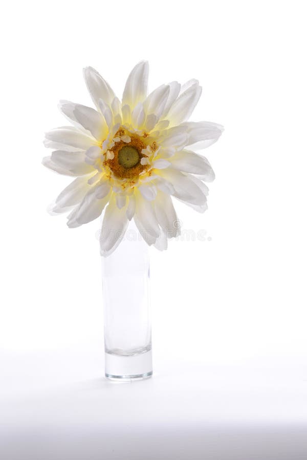 Fleur Blanche Lumineuse Dans Un Vase En Verre Photo stock - Image du ...
