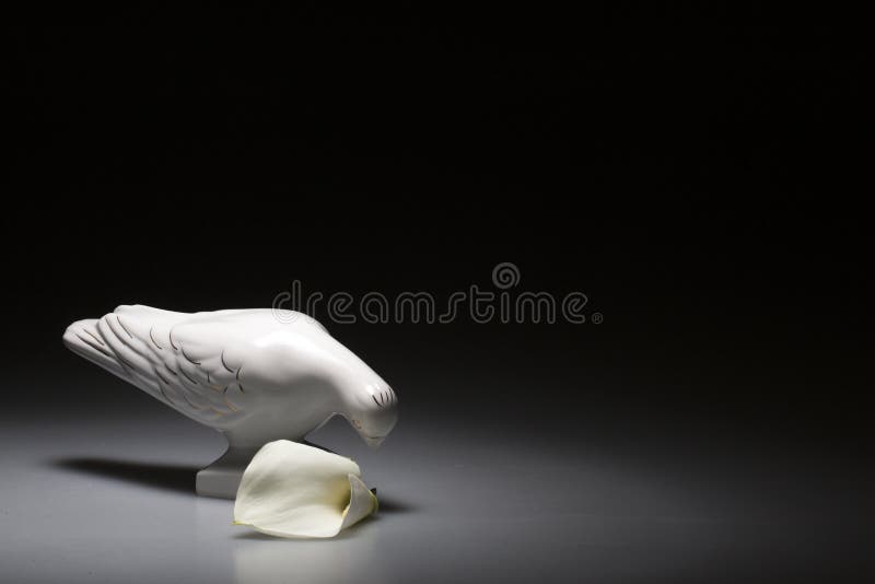 Fleur De Deuil De Colombe Et De Calla Photo stock - Image du oiseau ...