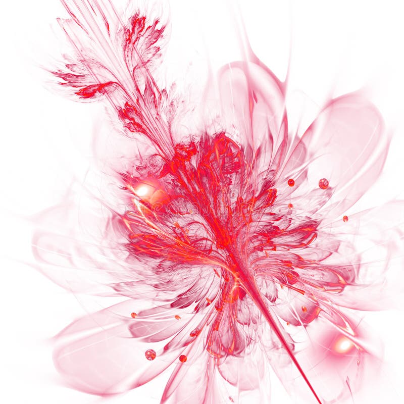 Fleur De Fractale Photo Stock Image Du Fractale Floral 55702068