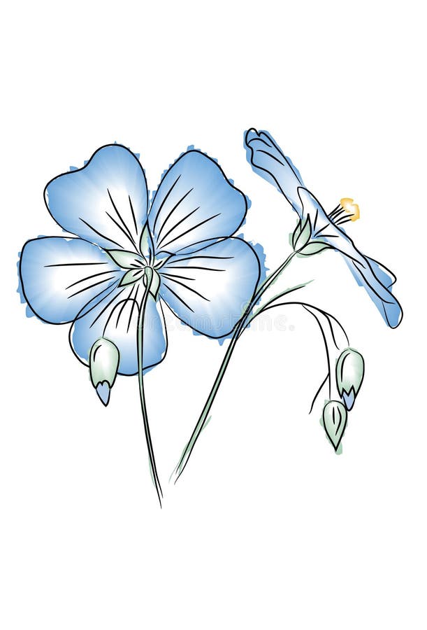 Fleur De Lin Dans Le Style D'aquarelle Illustration de Vecteur ...