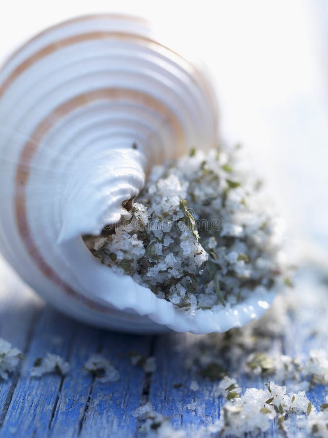 Fleur De Sel Sea Salt in a Shell Stock Photo - Image of color, blue ...