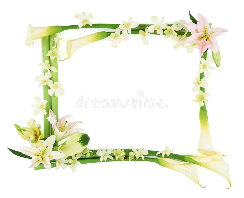 Fleur Frame-3 photo stock. Image du maison, déco, décorer - 2734652