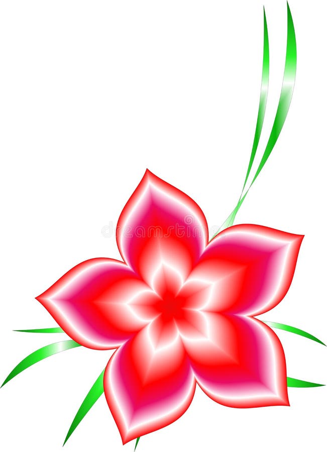 Fleur rouge illustration stock. Illustration du raies - 79933408