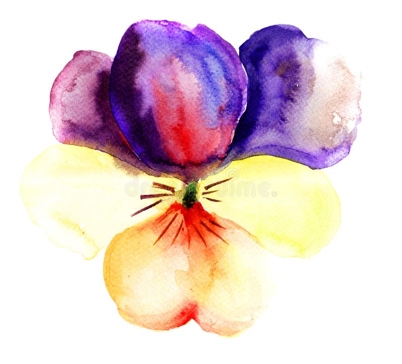 Dessin Violet De Fleur Ensemble Floral Tiré Par La Main De Vecteur ...