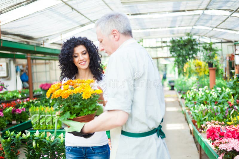 Fleuriste Vendant Des Fleurs à Un Client Image stock - Image du ...