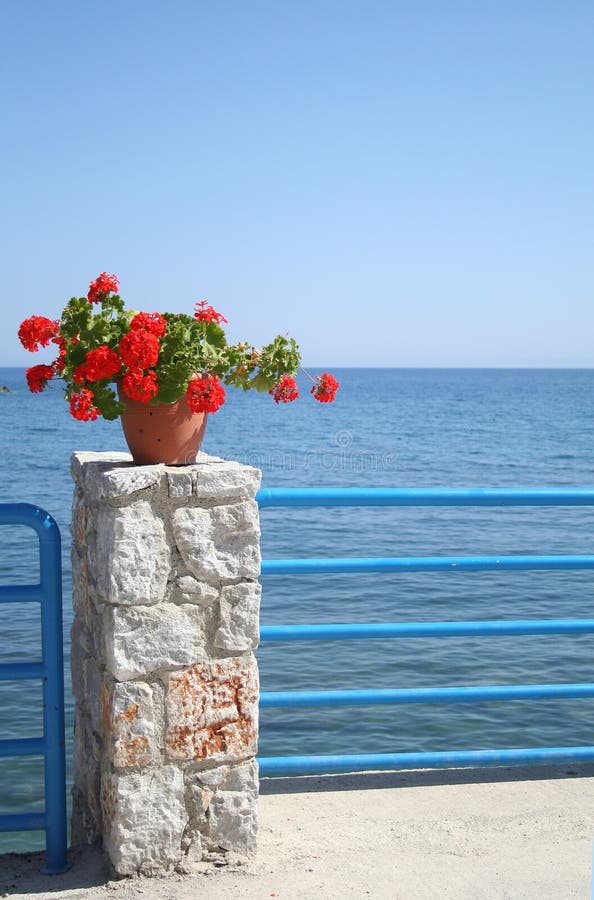 Fleurit le bord de mer photo stock. Image du plage, vacances - 10071766