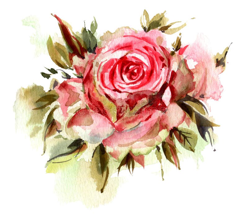 Illustration D'aquarelle, Des Roses Rouges Et Des Feuilles, Pour Des ...