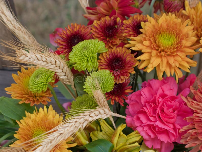 Fleurs d'automne photo stock. Image du coloré, verdure - 6527034