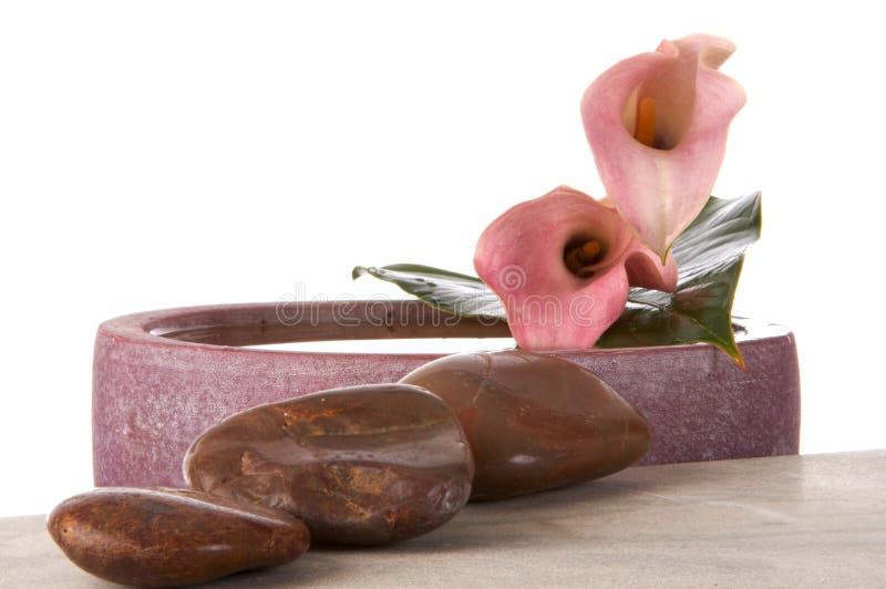 Fleurs de calla rose photo stock. Image du calla, frais - 2276112