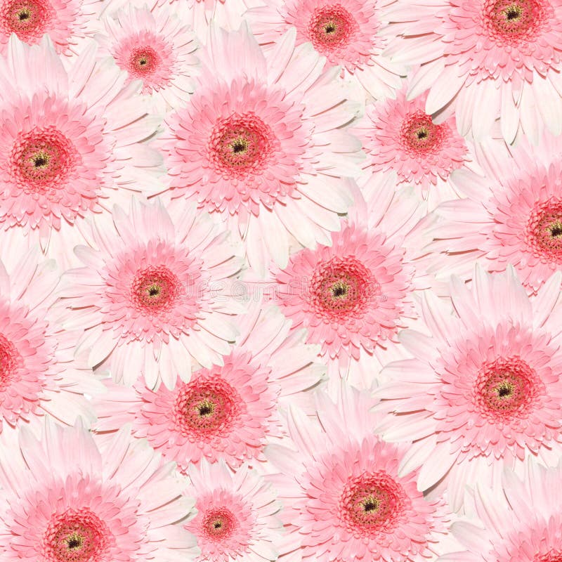 Texture De Papier Avec De Belles Fleurs Roses. Photo stock - Image du ...