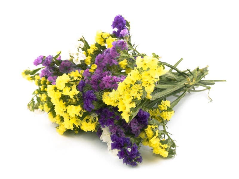 Fleurs De Statice - Limonium Sinuatum Photo stock - Image du flore ...