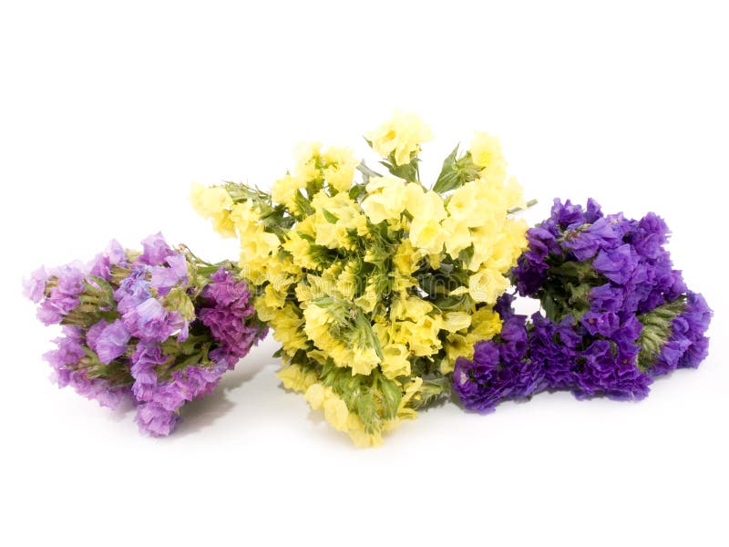 Fleurs De Statice - Limonium Sinuatum Image stock - Image of centrale ...