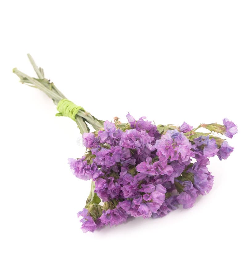 Fleurs De Statice - Limonium Sinuatum Photo stock - Image du fleur ...