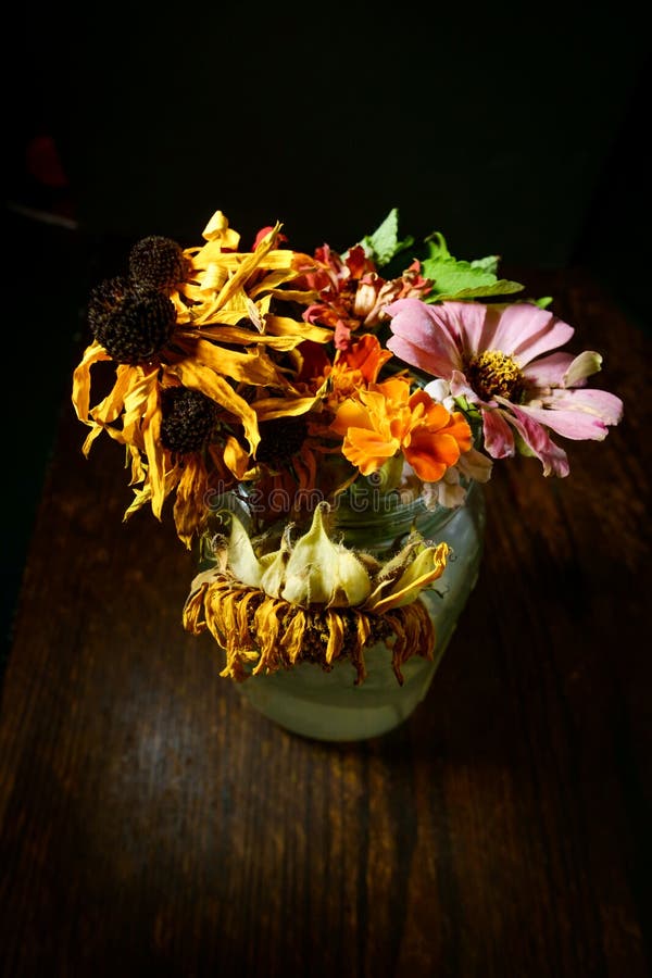 Fleurs Fanées Photos Stock - Téléchargez 841 Photos libres de droits