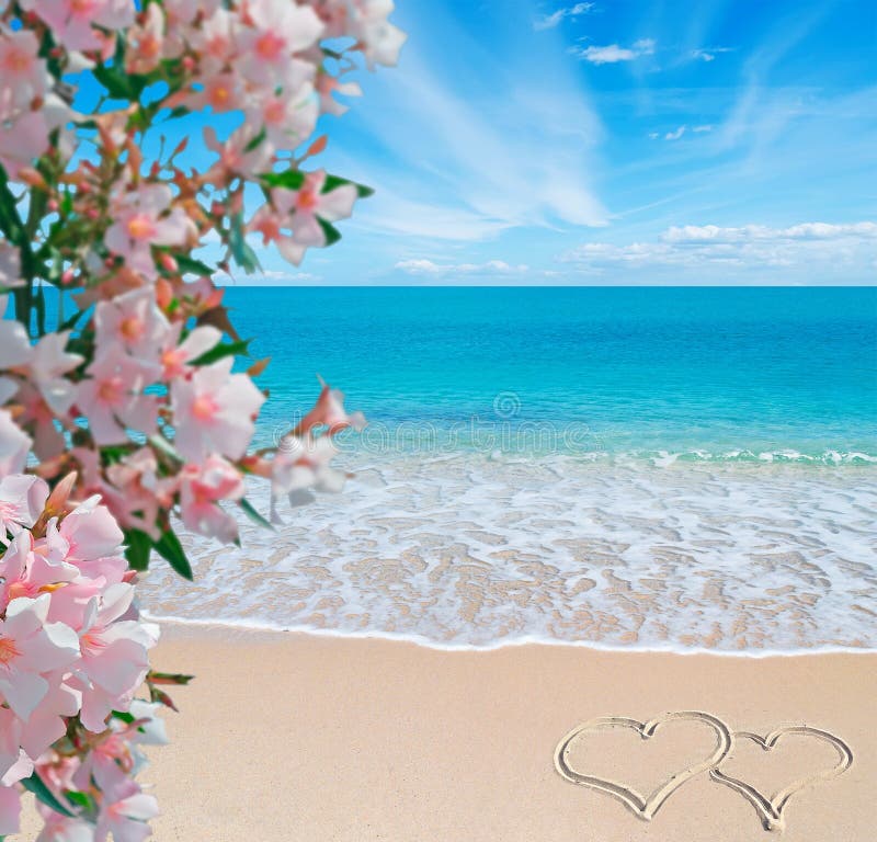 Fleurs, mer et coeurs photo stock. Image du beauté, oléandre - 32175664
