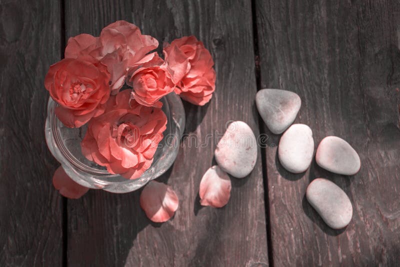 Fleurs Roses, Corail Vivant, Couleur Des 2019 Ans Image stock - Image ...