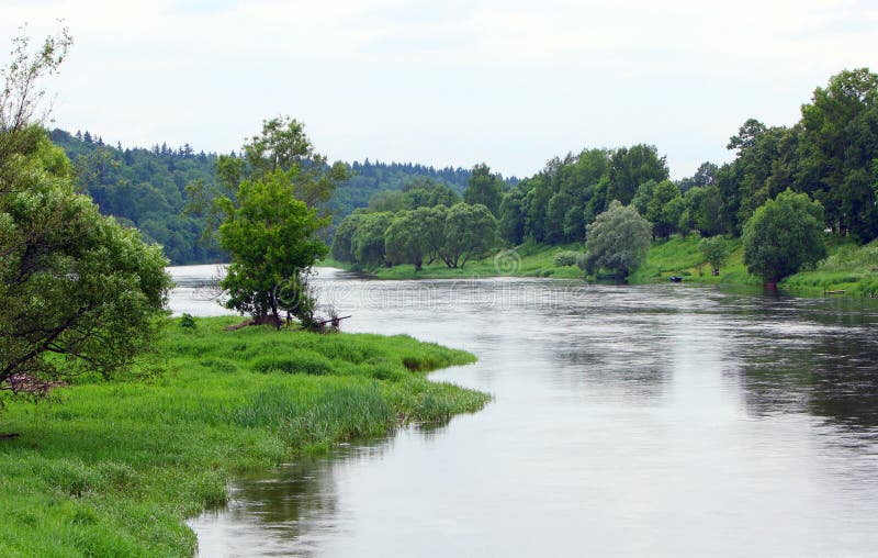 Fleuve image stock. Image du vert, forêt, ciel, paysage - 10361741