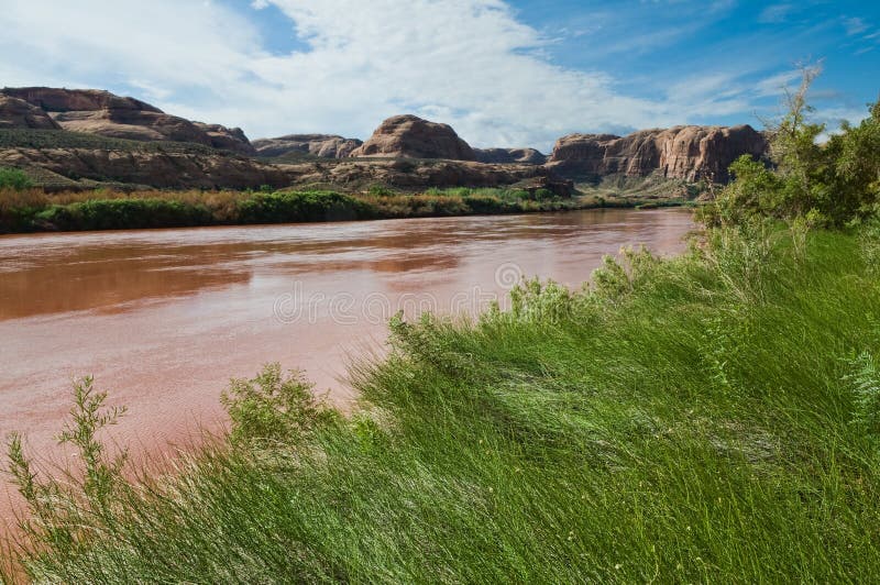 Passerelles De Fleuve Colorado Photo stock - Image du arizona ...
