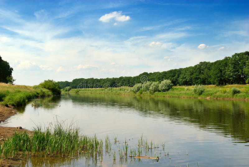 Fleuve d'Odra en Pologne image stock. Image du pré, rive - 5653399