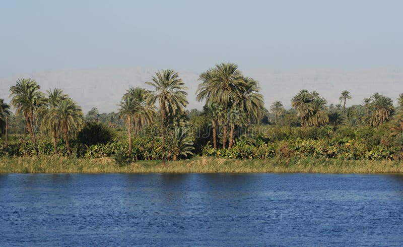 Fleuve le Nil image stock. Image du bleu, delta, ciel, nuage - 729923