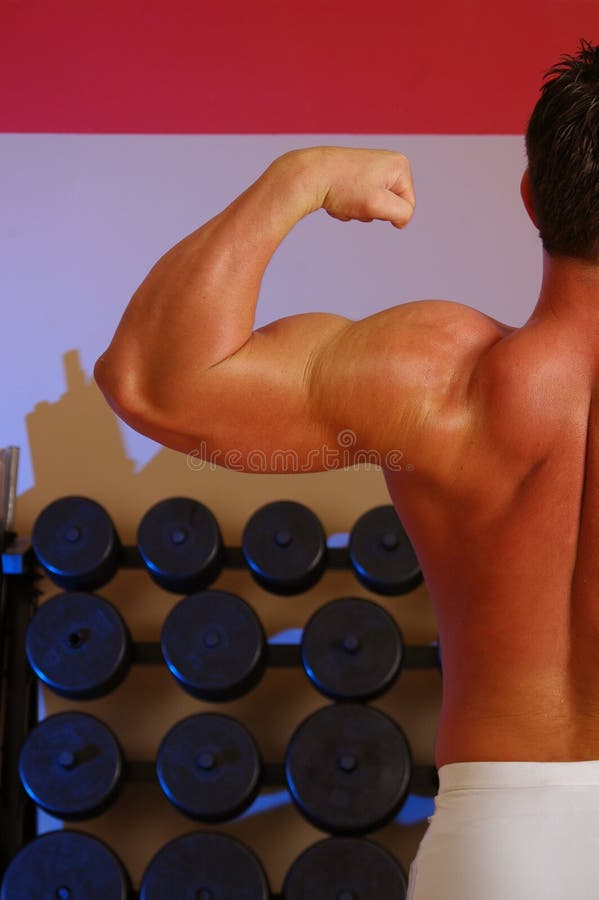 Leg flex stock photo. Image of interior, buff, massive - 1831178