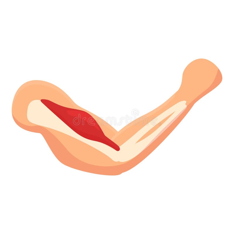 Flex Muscle Icon Cartoon Vector. Strong Arm Stock Vector - Illustration ...