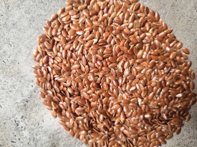 Flex seed super food stock photo. Image of prairie, snack - 194664358