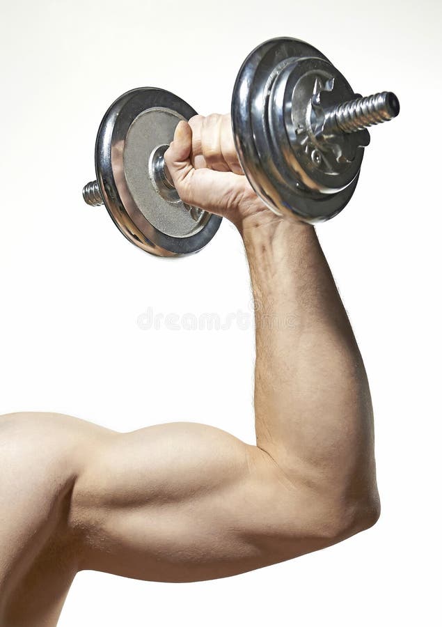 Flexing biceps with weight stock image. Image of healthy - 30523771