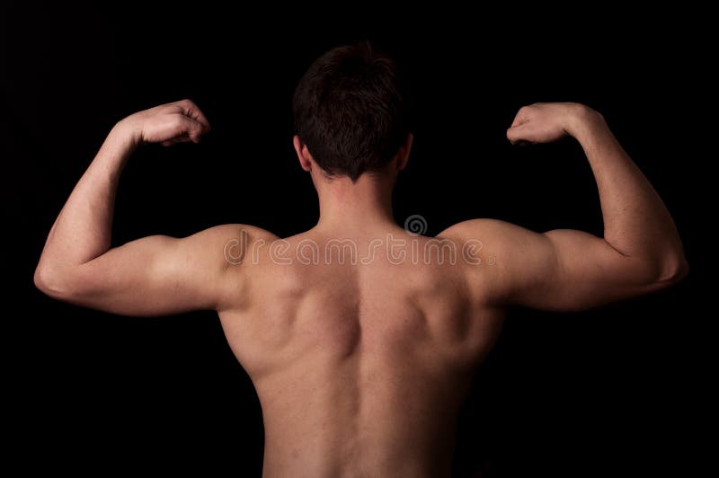 Flexing muscles stock image. Image of medical, muscular - 38685987