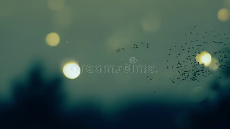The Flicker of Fireflies in the Distance Casting a Soft Bokeh Glow on ...