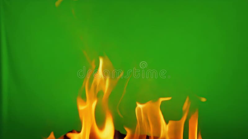 Flickering Flames Create a Tranquil and Peaceful Scene. Green Screen ...