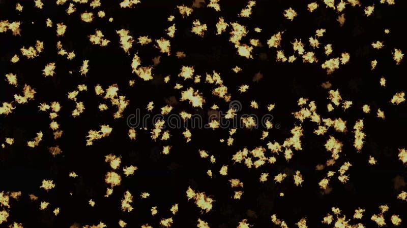 Dancing Flames Create Mesmerizing Patterns in a Dark Space at Night ...