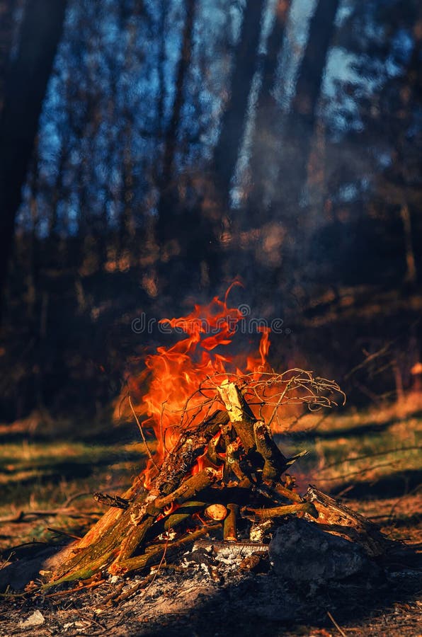 Flickering Campfire in Forest at Sunset Stock Photo - Image of firewood ...