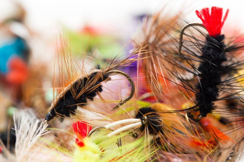 Flies for Catching Fish with Feathers Stock Image - Image of outdoor ...