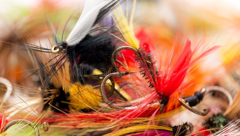Flies for Catching Fish with Feathers Stock Image - Image of angling ...