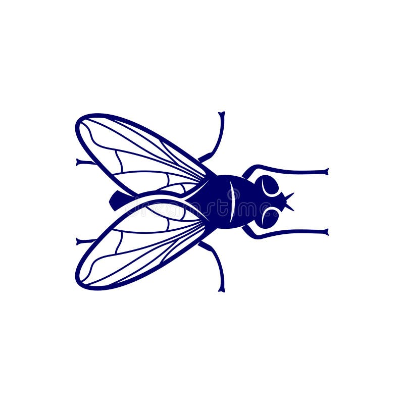 Flies Design Vector, Illustration Flies Design Template, Symbol Icon ...