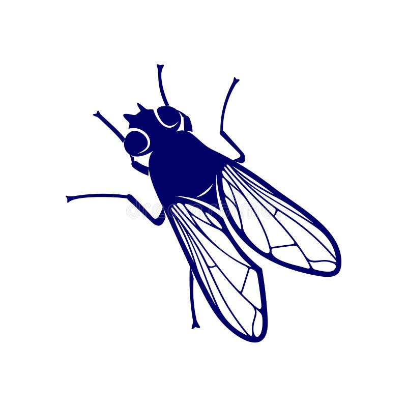 Flies Design Vector, Illustration Flies Design Template, Symbol Icon ...