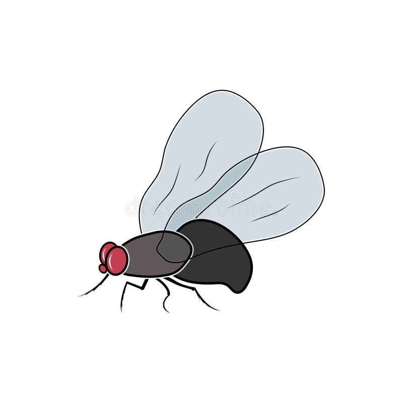 Fruit Flies Cartoon Stock Illustrations – 91 Fruit Flies Cartoon Stock ...