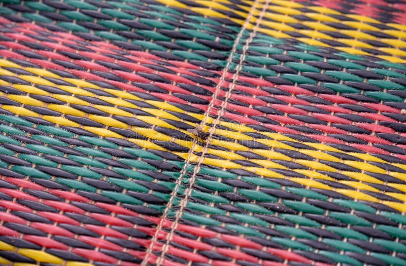 Flies Perched on Mats, Woven in Patterns Stock Photo - Image of ...