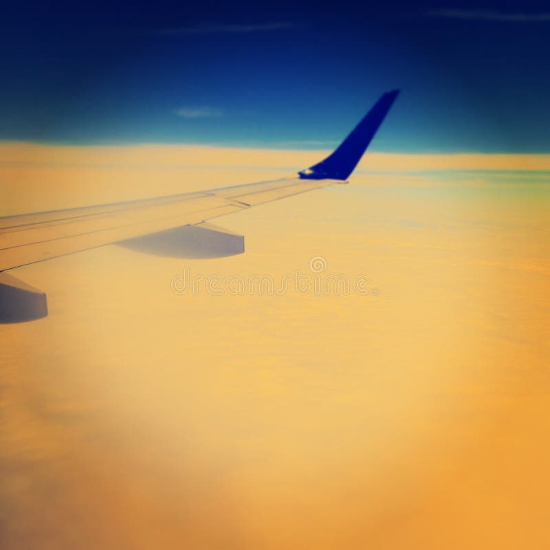 Flight in Color stock photo. Image of color, flight, filtered - 53888852