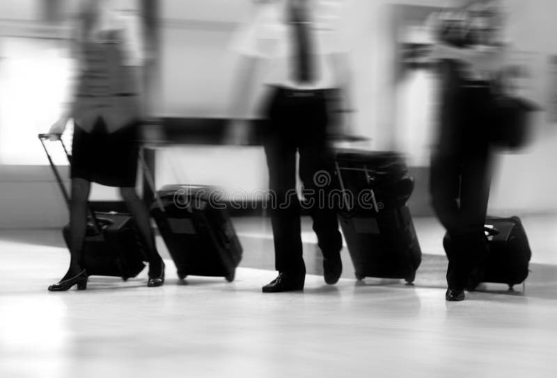 Flight Crew stock photo. Image of vacation, white, attendant - 10270916