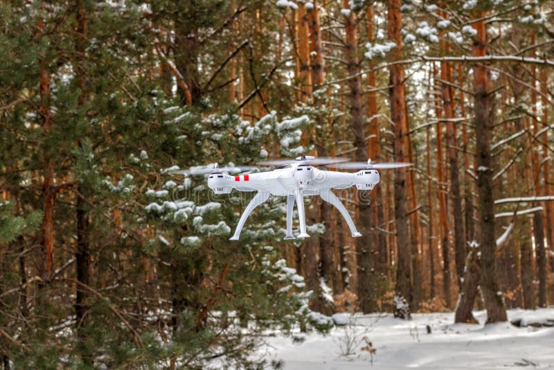 Flight Of The Drone In The Winter Forest. The Concept Of Unmanned ...