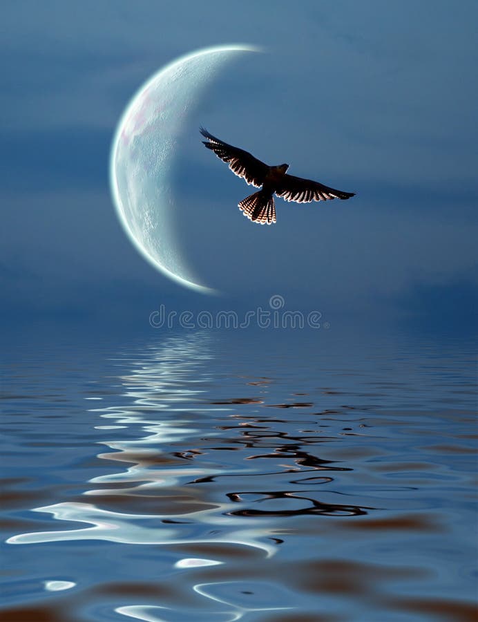 Eagle in fantasy Flight stock illustration. Illustration of clean ...