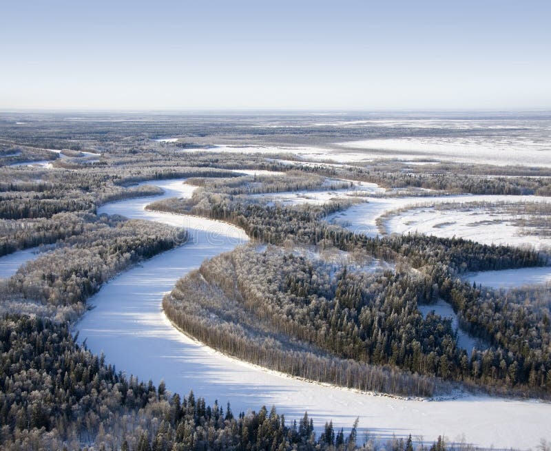 The Freezing day stock image. Image of january, spruce - 3507005