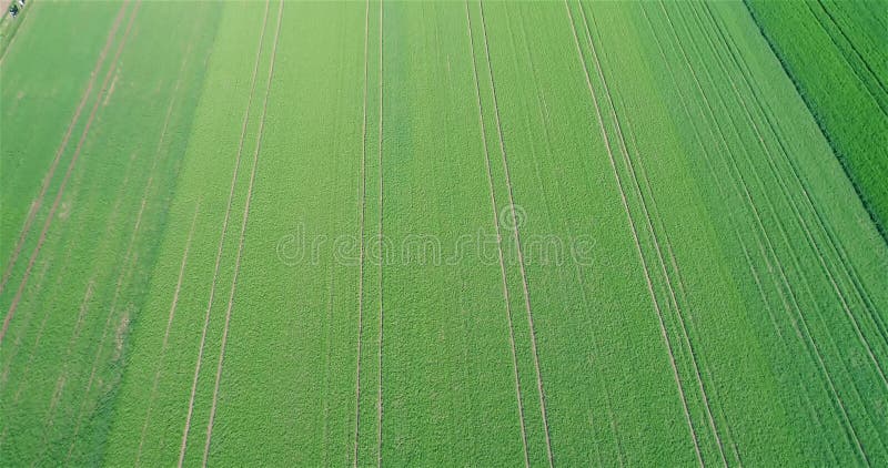 View of the Green Field from Above. Flight on the Green Field. Large ...